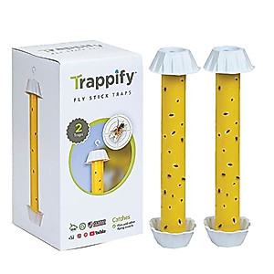 Trappify Hanging Fly Traps Outdoor: Fruit Fly Traps for Indoors | Fly Catcher, Gnat, Mosquito, & Flying Insect Catchers for Inside Home - Disposable Sticky Fly Trap for Indoor House Pest Control (2)