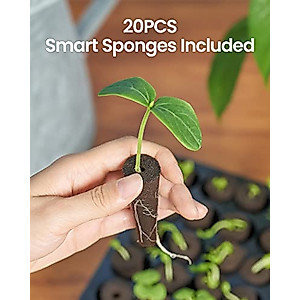 iDOO Seed Starter Tray with Grow Sponges, 20 Cells Reusable Seed Starter Kit with Humidity Dome, Base Mini Greenhouse Germination Kit for Seeds Growing Starting