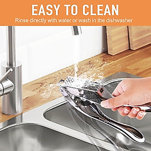 Garlic press and slicer 2 in 1,Effortlessly Crush, Slice, and Mince Garlic,with this Versatile Kitchen Tool - Perfect for Home Cooks and Professional Chefs Alike. (Silvery)