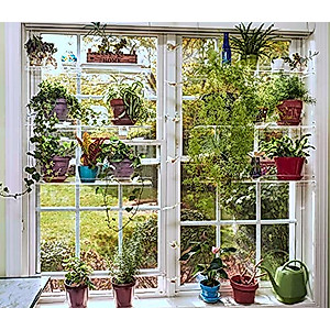 Auyeetek Acrylic Plant Wall Shelf Hanging Window Shelves for Plants Mount Stand Indoor Unique Planter Holder Succulent Herb Garden Artificial Christmas Decor Storage from Ceiling