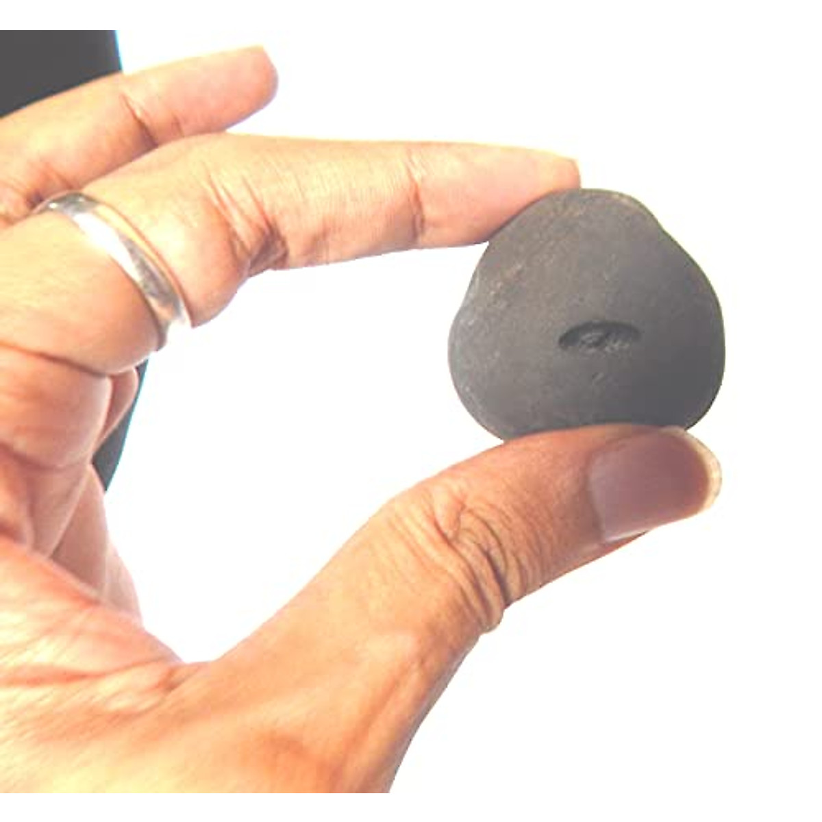 XUETZALCOATL Jyotiraadityah Sudarshan Shaligram 1.5cm - 2.5cm from Kali Gandaki 1 pcs