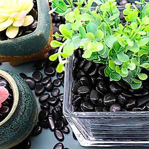 Premium Pebbles Black Rocks for Plants. Polished Decorative Pebbles. 3/8 Inch 2 lbs for Garden, Indoor, Crafting, Succulents, pots, Plants (XSM (0.375 Inch), Black -Polished, 2)