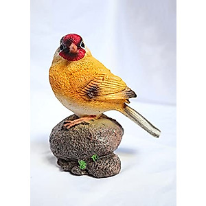 PLUSMORE Set of 2 Robin Ornament Bird Statue Animal Figurine Garden Sculpture Home Indoor Outdoor Decor Yard Lawn Resin