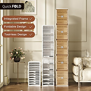 ANTBOX Shoe Organizer Storage Box, Portable Folding Shoe Rack for Closet with Magnetic Clear Door,Large Sneaker Cabinet Bins Sturdy Easy Assembly 10 Layers-10 Grids