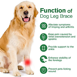FORFAXE Dog Leg Brace for Front Back Ankle, 1 Pair Dog Front Leg Brace with Strips, Dog Acl Brace Hind Leg for Carpal Support,Dog Leg Sleeve for Carpal Support Prevents Injuries & Sprains,M