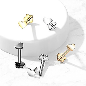 Pierced Owl 16GA G23 Implant Grade Titanium Heart Top Threadless Push in Flower Base Stud (Silver Tone)