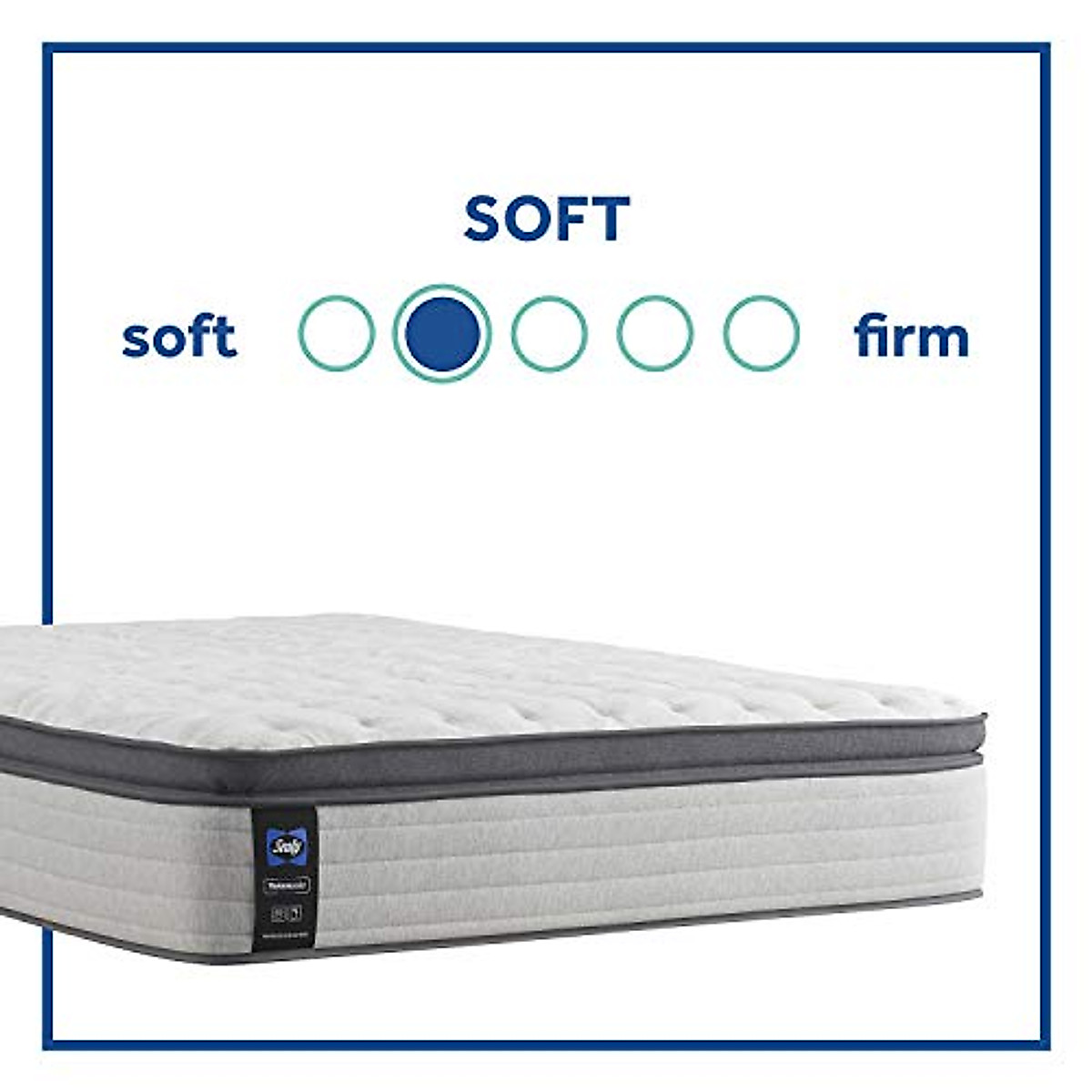 Sealy Posturepedic Spring Summer Rose Euro Pillowtop Soft Feel Mattress and 5-Inch Foundation, Queen