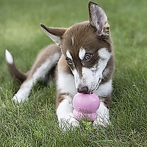 KONG - Easy Treat - Dog Treat Paste - 8 Ounce (2 Pack) - Puppy Recipe