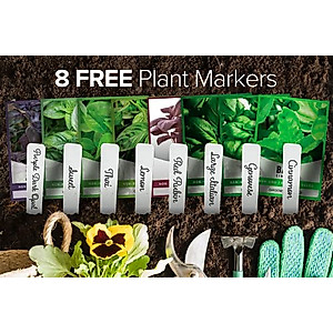 Basil Seeds for Planting Home Garden - 8 Variety Herb Pack Genovese, Large Leaf, Lemon, Thai, Red Rubin, Cinnamon, Sweet and Purple Opal Basil Herb Seeds for Indoors & Outdoors by Gardeners Basics