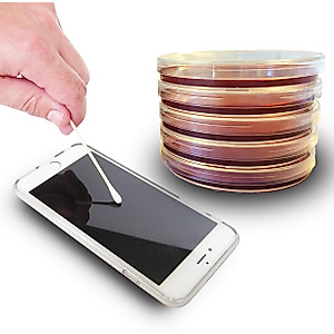 MacConkey Agar Plates - Evviva Sciences - 10 Prepoured MacConkey Agar Petri Dishes - Great for Science Fair Projects