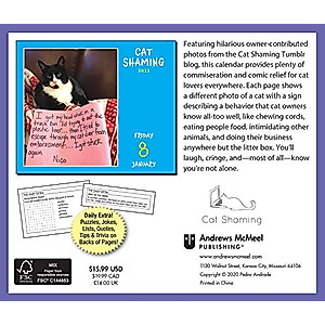 Cat Shaming 2021 Day-to-Day Calendar