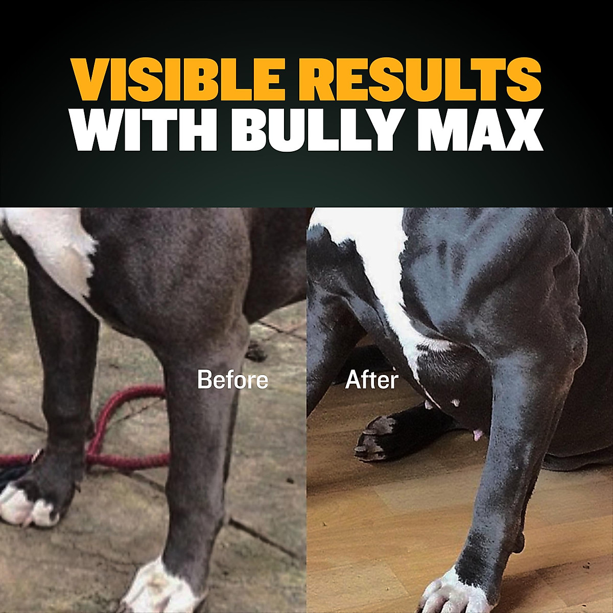 Bully Max Muscle Builder Soft Chews for Dogs and Puppies - Training Supplements for Puppy and Adult Dog - Dog Food Topper Treats for Muscle Gain - All Dog Breeds & Ages, 75 Delicious Soft Chews