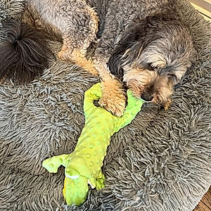 Ethical Pets 54093 Skinneeez Extreme Stuffing Free Dog Toy, 14", Frog, Green