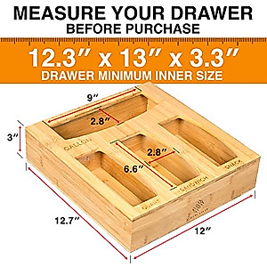 HEALTHY DREAM Bamboo Ziplock Bag Storage Organizer and Dispenser for Kitchen Drawer - Compatible with Ziploc, Hefty, Glad, Solimo for Snack, Sandwich, Quart and Gallon Size Storage Bags (4 in 1)