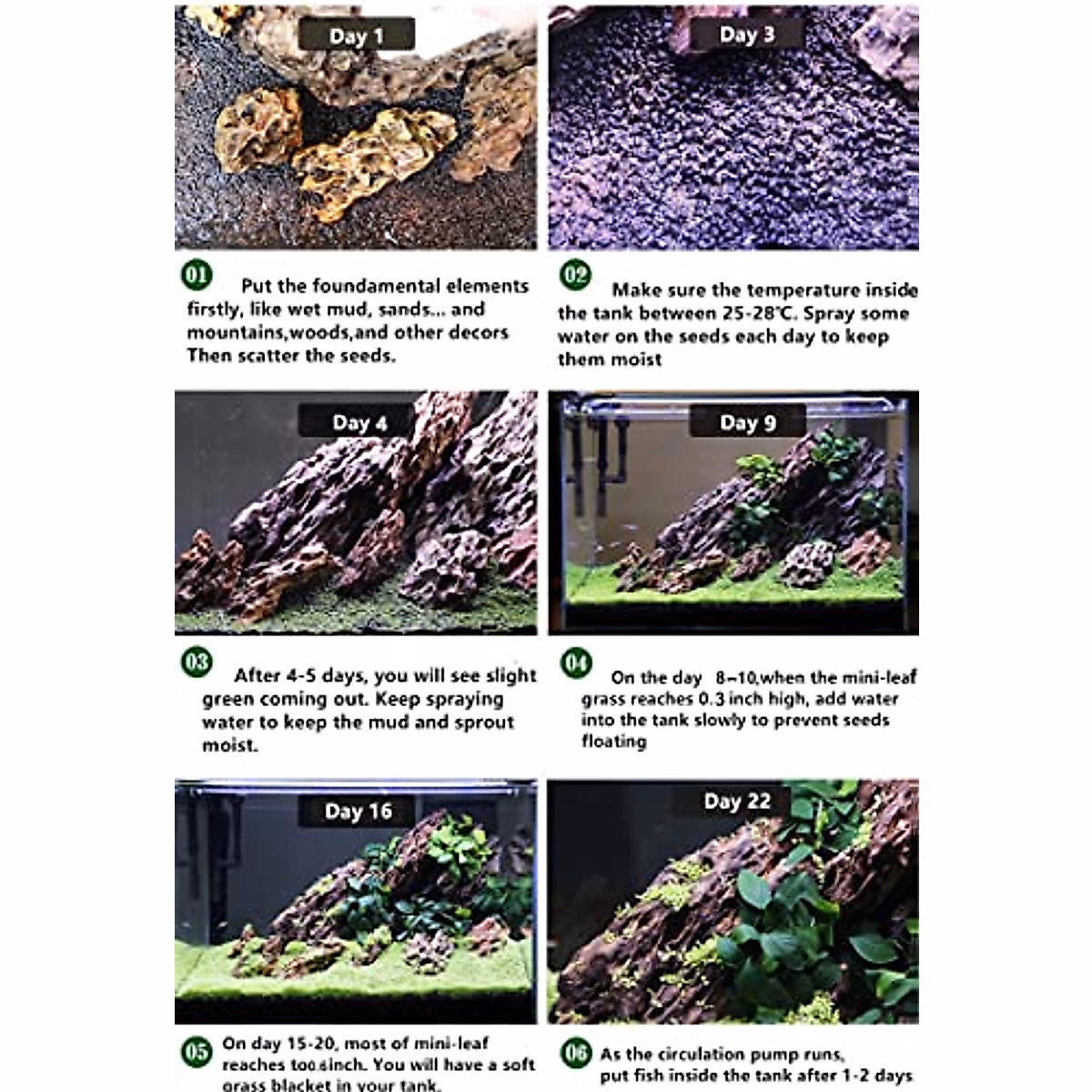 Live Aquarium Plant Seeds Combo,Fresh Water Grass Plants Mini Leaf & Longhair Grass Small Pearl for Fish Tank Terrarium Aquatic Dwarf Carpet Decor Decoration 6 aab (1M1L)