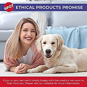 Ethical 4.75-Inch Stoneware Crock Dog Dish (6115)