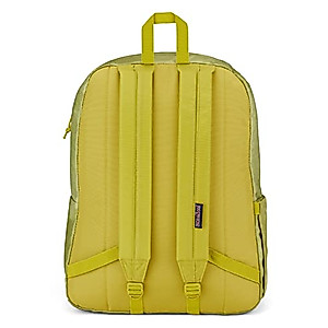 JanSport SuperBreak Plus FX Backpack