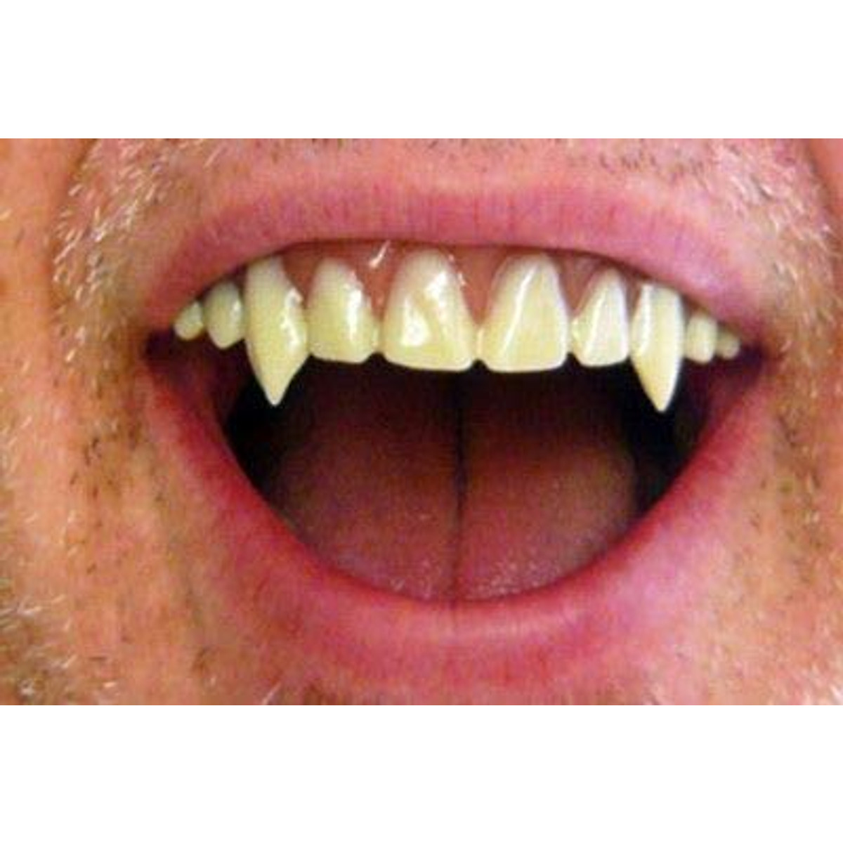 Nightslayer Vampire Movie Quality FX Fangs