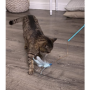 SmartyKat Frisky Flyer Feather Wand Cat Toy, Extendable Up to 24" - Blue, One Size