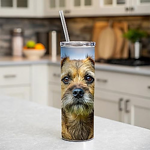 Border Terrier Dog Photo Skinny Tumbler 20oz with Straw Insulated Water Bottle Gift