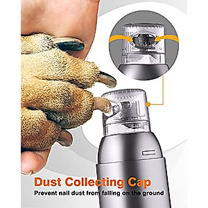 Toozey Dog Nail Grinder with 4 LED Lights, Professional 3-Speed Powerful Electric Dog Nail Trimmer with 2 Grinding Wheels, Dog Nail File Painless Paws Grooming for Small Medium Large Dogs & Cats