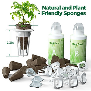 LetPot 77 Pcs Seed Pod Kits, Square Grow Anything Kit for Hydroponics, with 2 A&B Nutrient Plant Foods and 30 Sponges, 5 Domes, 10 Baskets, 30 Stickers, Compatible with LetPot Mini, YOOCAA, QYO, LYKO