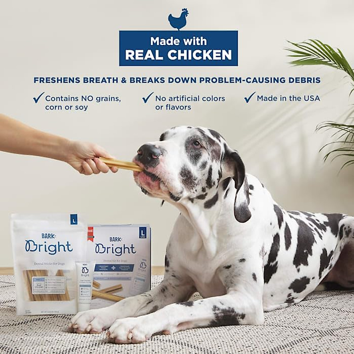 Bark BARK Bright Large Dental Kit for Dogs, 26.29 oz,31 Piece Set