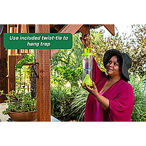 RESCUE! WHY Trap for Wasps, Hornets, & Yellowjackets – Hanging Outdoor Trap