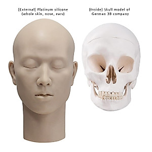 SFXKOREA SFX.Silicone Dummy Head (Man 1), Medical Research and Testing, Medical Demonstration, Medical Training, Hairdressing Training, Display Manequin