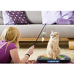 Pets First Chicago Cubs Baseball Cat Scratcher Toy