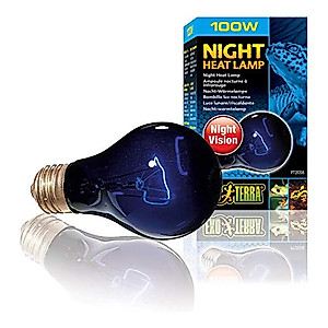 Exo-Terra Night Heat Lamp, 100 Watt