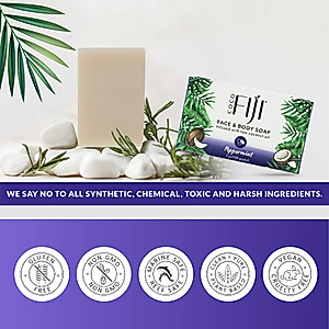 Coco Fiji Soap Bar for Face and Body Infused With Organic Coconut Oil, Peppermint, Essential Oil, Natural Soap for Moisturizing & Pore Purifying Skin, 7 oz,Pack of 2