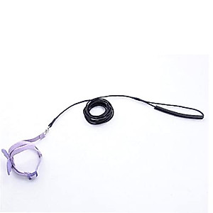 Pet Bird Harness and Leash Rope Training Outdoor Flying Training Pet Rope Bird Strap Bird Rope for Budgerigar Mynah Parrot