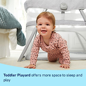 Graco® DreamMore™ 3-in-1 Portable Bassinet & Travel Crib, Beau