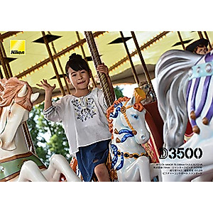 Nikon D3500 24.2MP DX-Format DSLR Digital Camera (Body Only) - (Black) - (Japan Import)