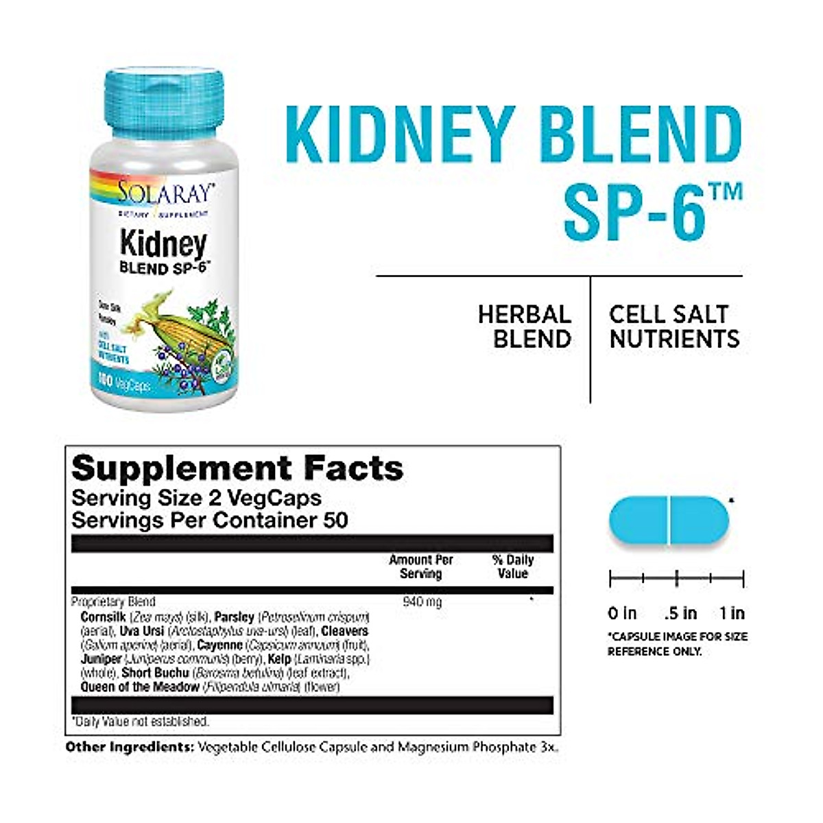 SOLARAY Kidney Blend SP-6 | Herbal Blend w/ Cell Salt Nutrients to Help Support Healthy Kidney Function | Non-GMO, Vegan (1 Pack)