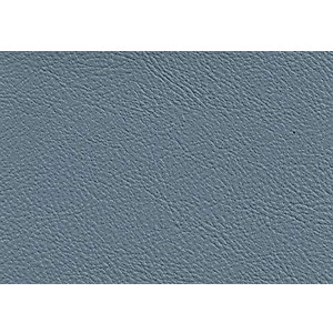 Premium Plus Dental Assistant Stool, 2103-M Blue