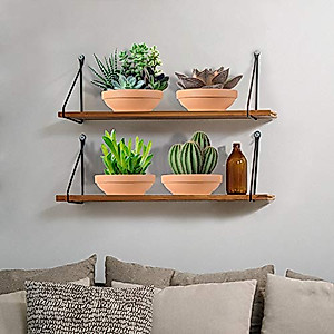 Clay Pots for Plants with Drainage Hole, 4 Pack Large Terra Cotta Plant Pot, 7.67 Inch Terra Cotta Pot Ceramic Pottery Planter Cactus Flower Pots Succulent Pot