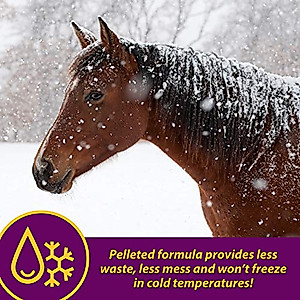 Horse Health Red Cell Pellets, Vitamin-Iron-Mineral Supplement for Horses, Helps Fill Important Nutritional Gaps in Horse's Diet, 4 lbs., 64-Day Supply