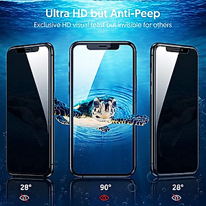 Fotbor for iPhone XR/iPhone 11 Screen Protector Privacy Tempered Glass Film, [2 Pack] iPhone 11 Privacy Screen Protector/iPhone XR Privacy Screen Protector Anti Spy Easy Install Case Friendly 6.1 Inch