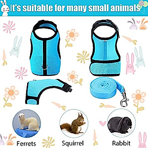 2 Pieces Bunny Rabbit Harness with Leash Cute Adjustable Buckle Breathable Mesh Vest for Kitten Puppy Small Pets Walking (Blue, Pink,M)