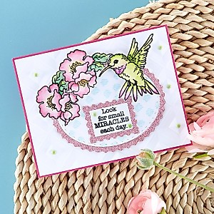 Spellbinders STP-193 Hummingbird Day Clear Stamp Set from The Stampendous Spring Collection