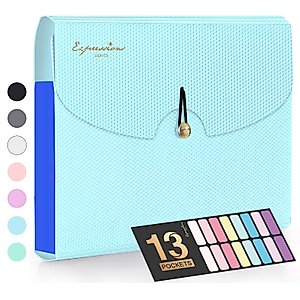 Sooez Expanding File Folder, 13 Pocket Accordion File Organizer, Monthly Expandable File Folder for Documents with Labels, Portable Bill Receipt Organizer for School Office Supplies, Letter A4 Size