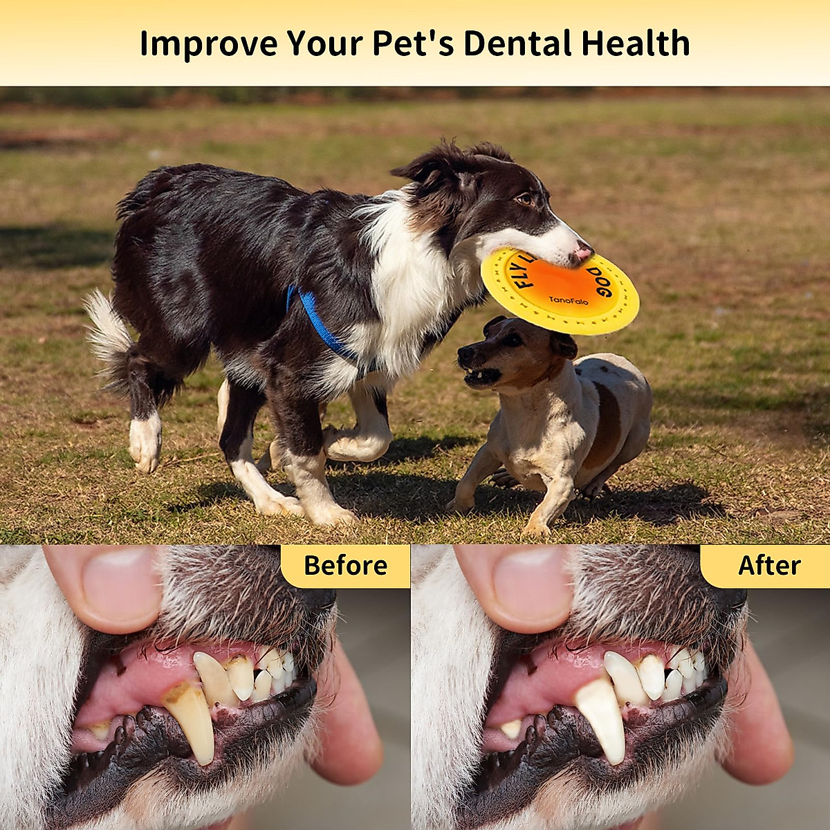 TANOFALO Dog Flying Disc, Dog Flyer Toy 10 Inch, Tear Resistant Soft TPR Material, Durable Interactive Outdoor Dog Fetch Toy-Floats in Water, Safe on Teeth for Large Dog, Puppies(Orange+Pink)