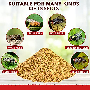 300g Fly Trap Refill, Reusable Fly Bait, 10 * 30g Fly Magnet Bait Refill Killer, Attractant for Ranch Fly Traps Outdoor