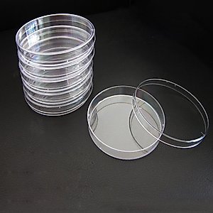 BIPEE Polystyrene Petri Dish, Sterile 70 x 16mm, Pack of 10