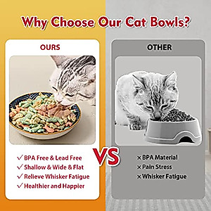 5.5 inch Wide Shallow Cat Food Bowl Set for Relief Whisker Fatigue -Ceramic - 6 Colorful Cute Small Flat Kitten Feeding Dish/ Dishes - Microwave and Dishwasher Safe - 8 oz