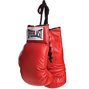Everlast Leather Autograph Gloves