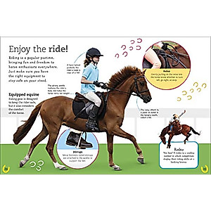 The Everything Book of Horses and Ponies (Everything About Pets)