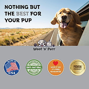 Zinc for Dogs - Dog Zinc Supplement - Helps to Support Healthy Skin, Coat, Immune Health & More - Dog Zinc - Dog Skin and Coat Supplement - Skin and Coat Supplement for Dogs - 1 fl oz - Bacon Flavor